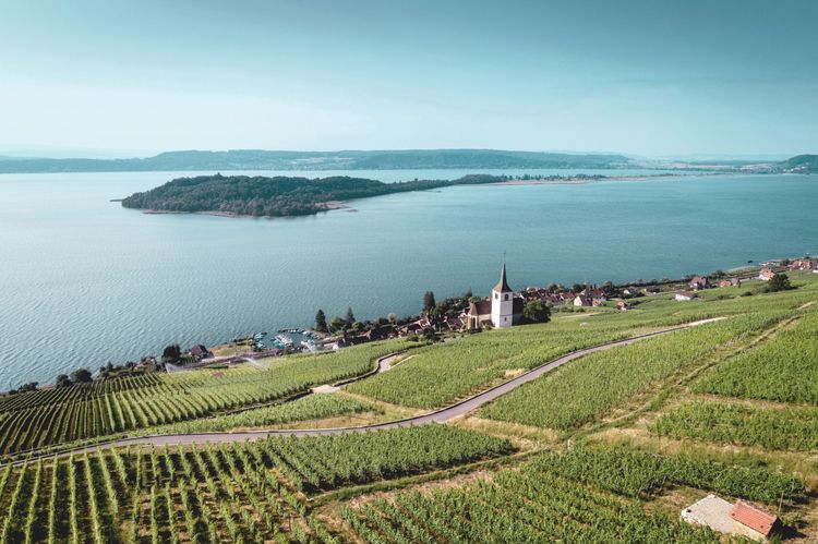 A day in the Three Lakes Region: discovering wines on the waterway ...