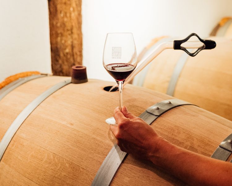 Wine know-how | Tasting, Grape Varieties & Food Pairings