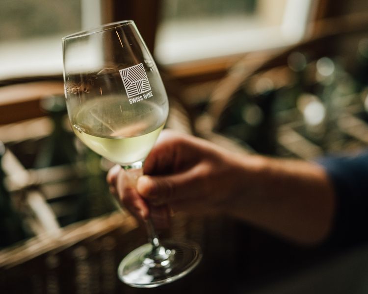 VINUM Winzerabend in Basel | Swiss Wine